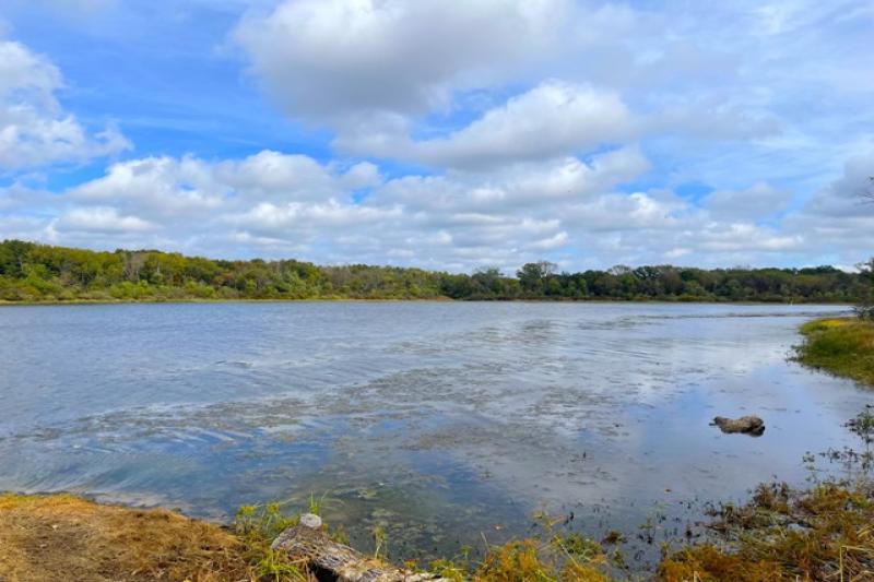 Rachel Anderson - #12 Teague- 2/2, Teague Club Lake, Water View